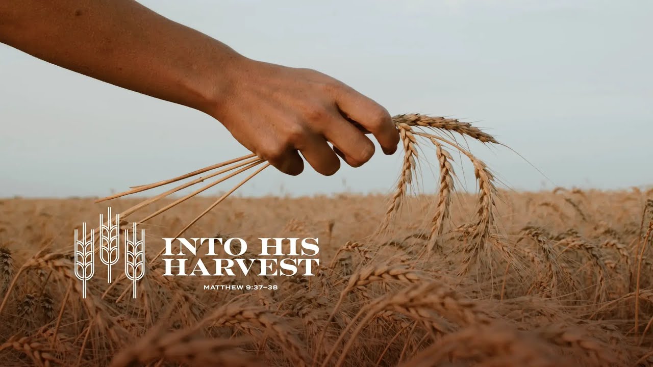 Mercy Said No - Caleb Ball - YouTube