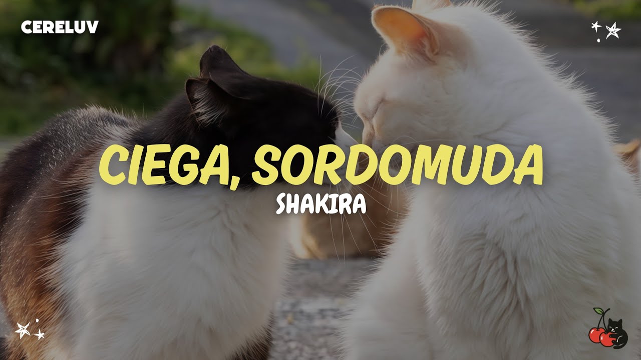 Shakira - Ciega, Sordomuda (Letra) - YouTube