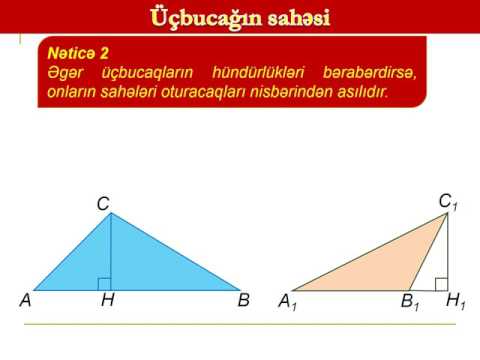 TQDK nin 2015  Toplusu Fiqurların sahəsi  test-299-360 həlli