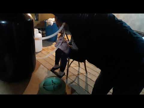 Çaxır süzülməsi viktorya üzümündən Yevlax şəhəri