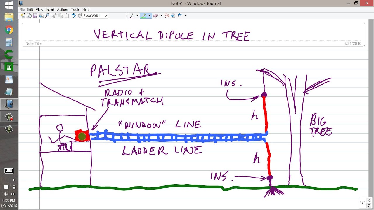Vertical Dipole in Tree - YouTube