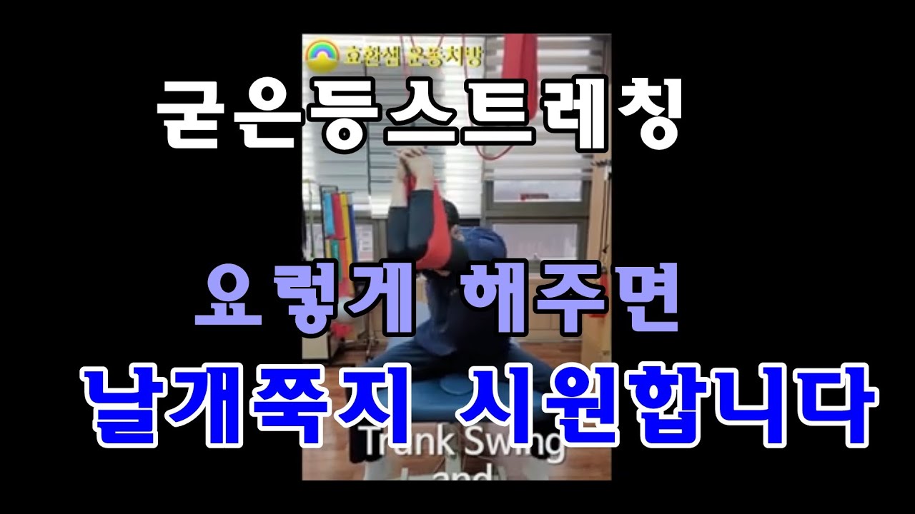 혈액순환 증진 몸통 흔들기 운동 _Sling Trunk Swing Exercises - YouTube