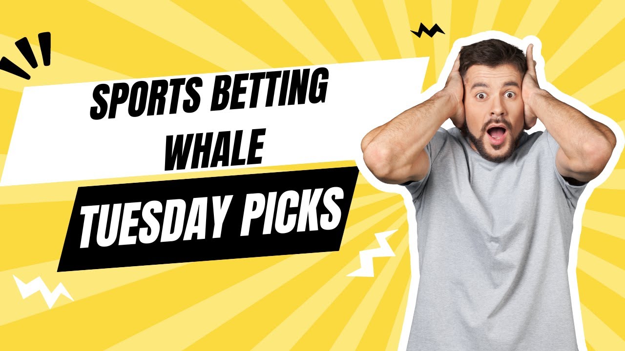 Sports Betting Whale Picks for Tuesday, July 30, 2024 - YouTube