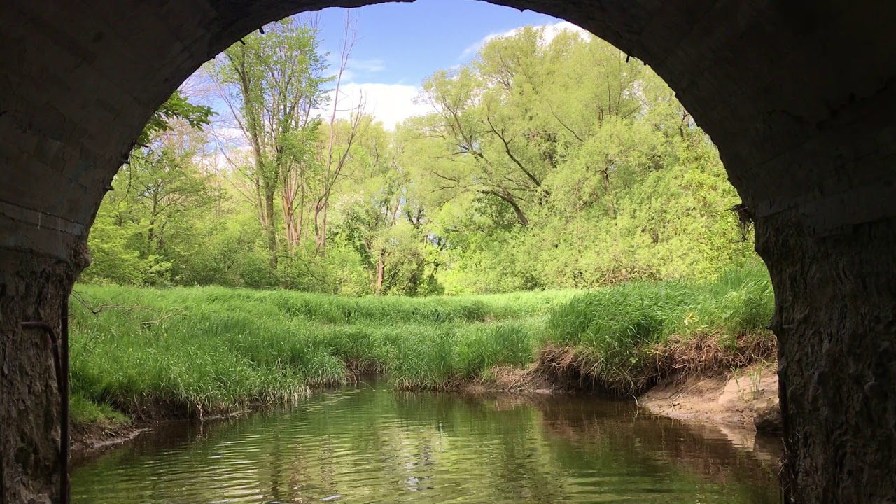 Under Bridge Looking Out Onto Nature Free Stock Footage B-Roll Free To ...