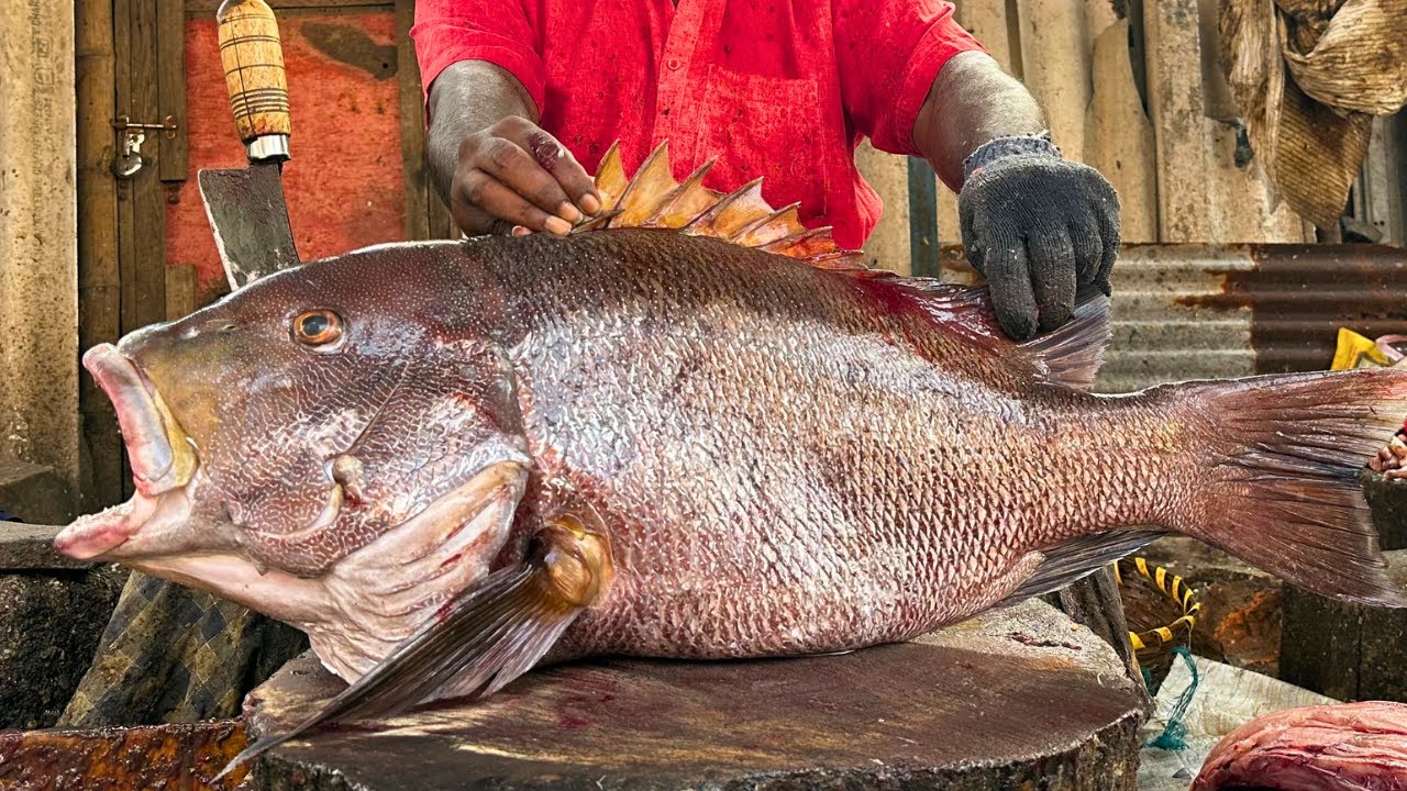 13 KG BIG KORALI FISH CUTTING🔥🔪KASIMEDU MINNAL RAJA FAST FISH CUTTING🔥 ...
