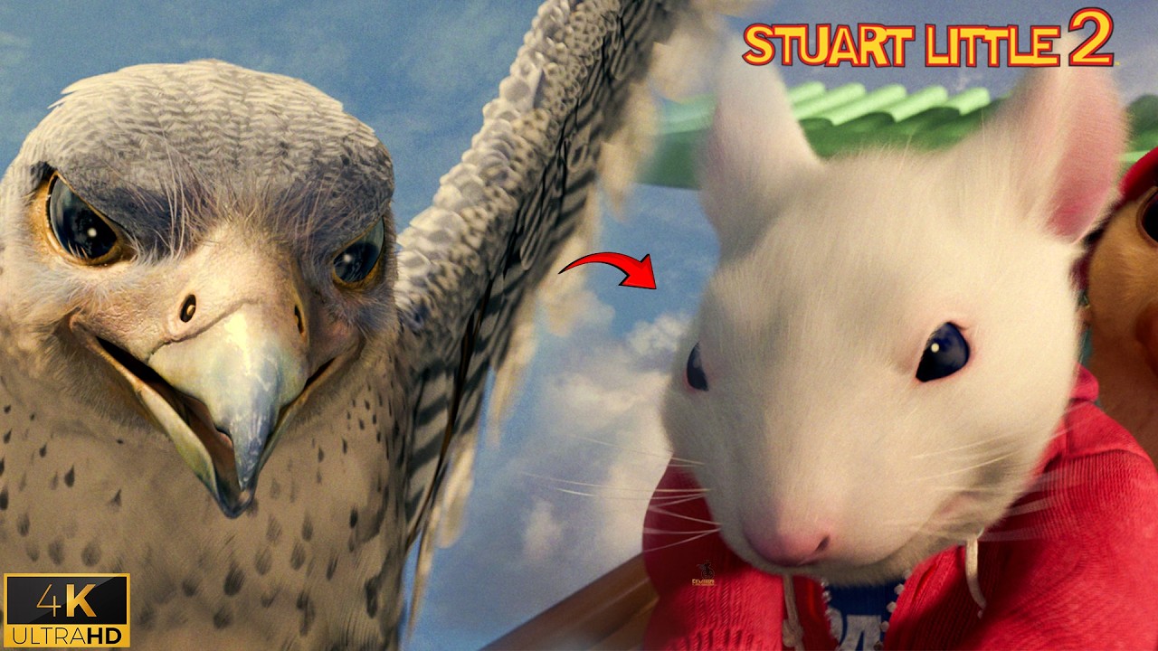 Falcon Attacks Stuart Little - Rooftop Battle Scene | Stuart Little 2 ...