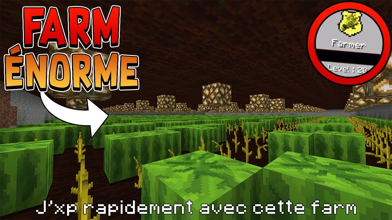 J'UP TRÈS VITE MON FARMER AVEC LA PLUS GROSSE FARM DE PALADIUM ...