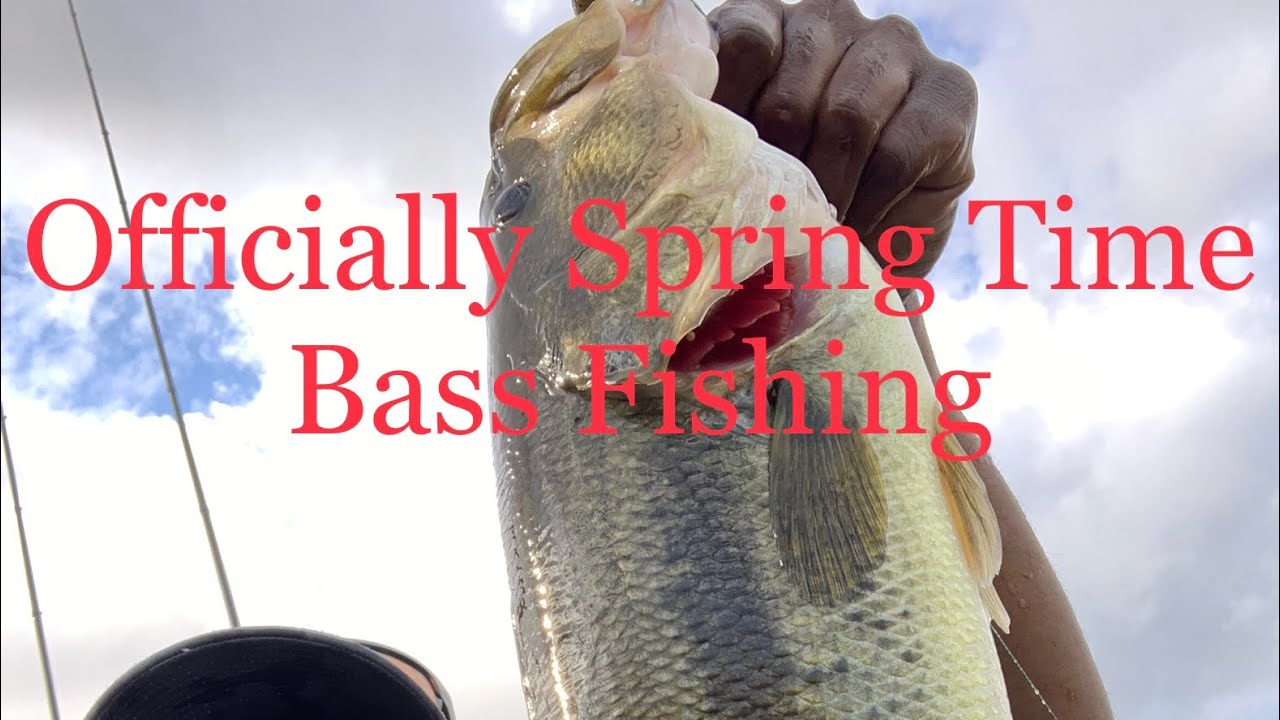 Spring Time Is Finally Here!! Back to Bass Heaven - YouTube
