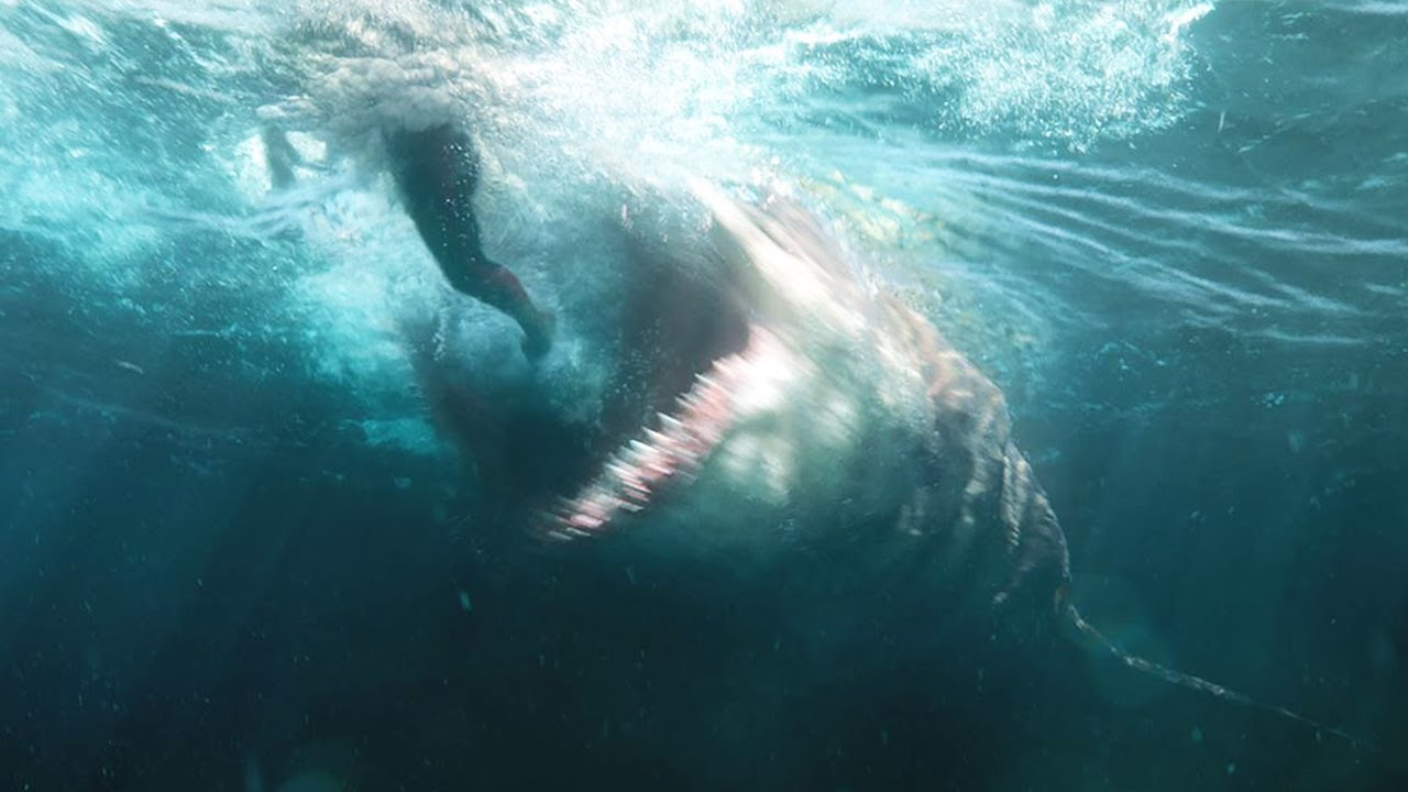 Scary Megalodon Proof We Can No Longer Ignore - YouTube