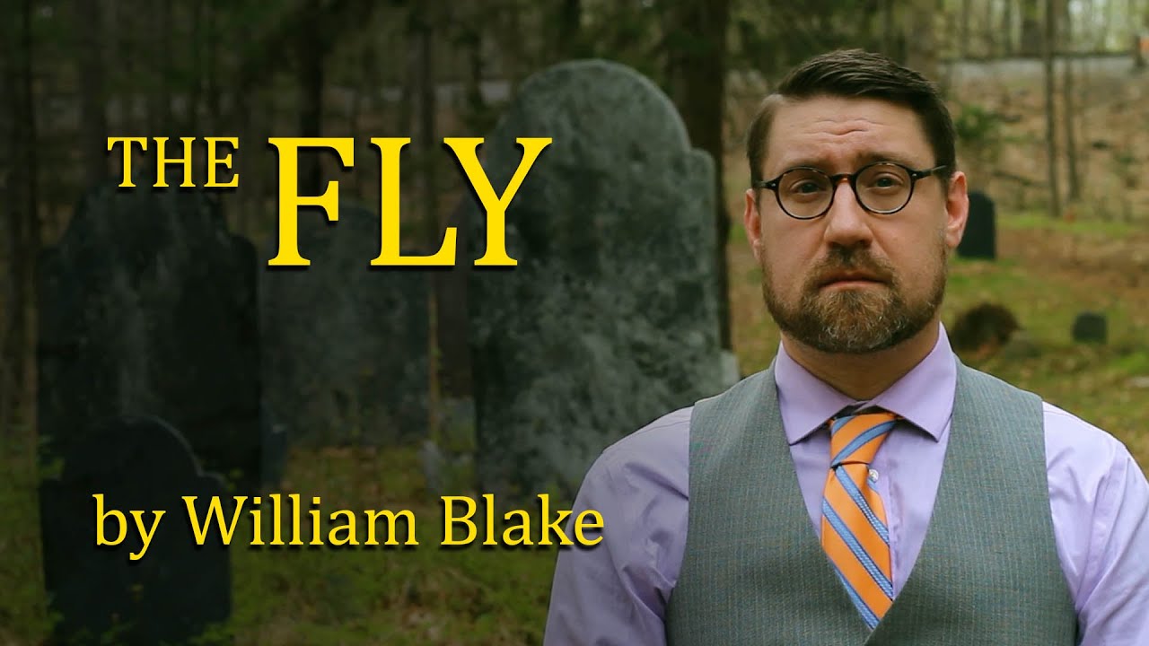 The Fly by William Blake (Graveyard Poetry) - YouTube