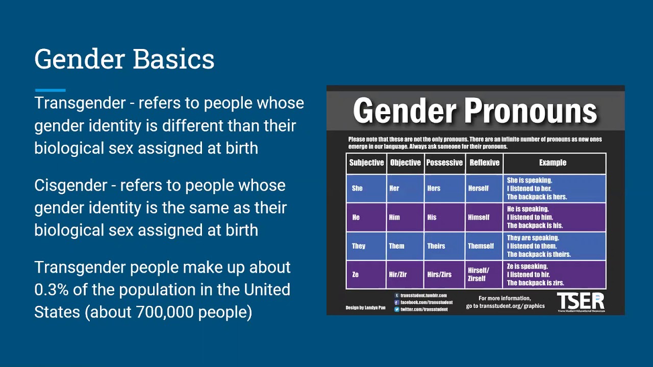 Gender Basics - YouTube