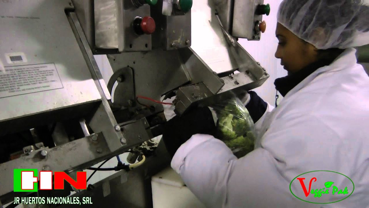 Presentacion Veggie Pak - YouTube