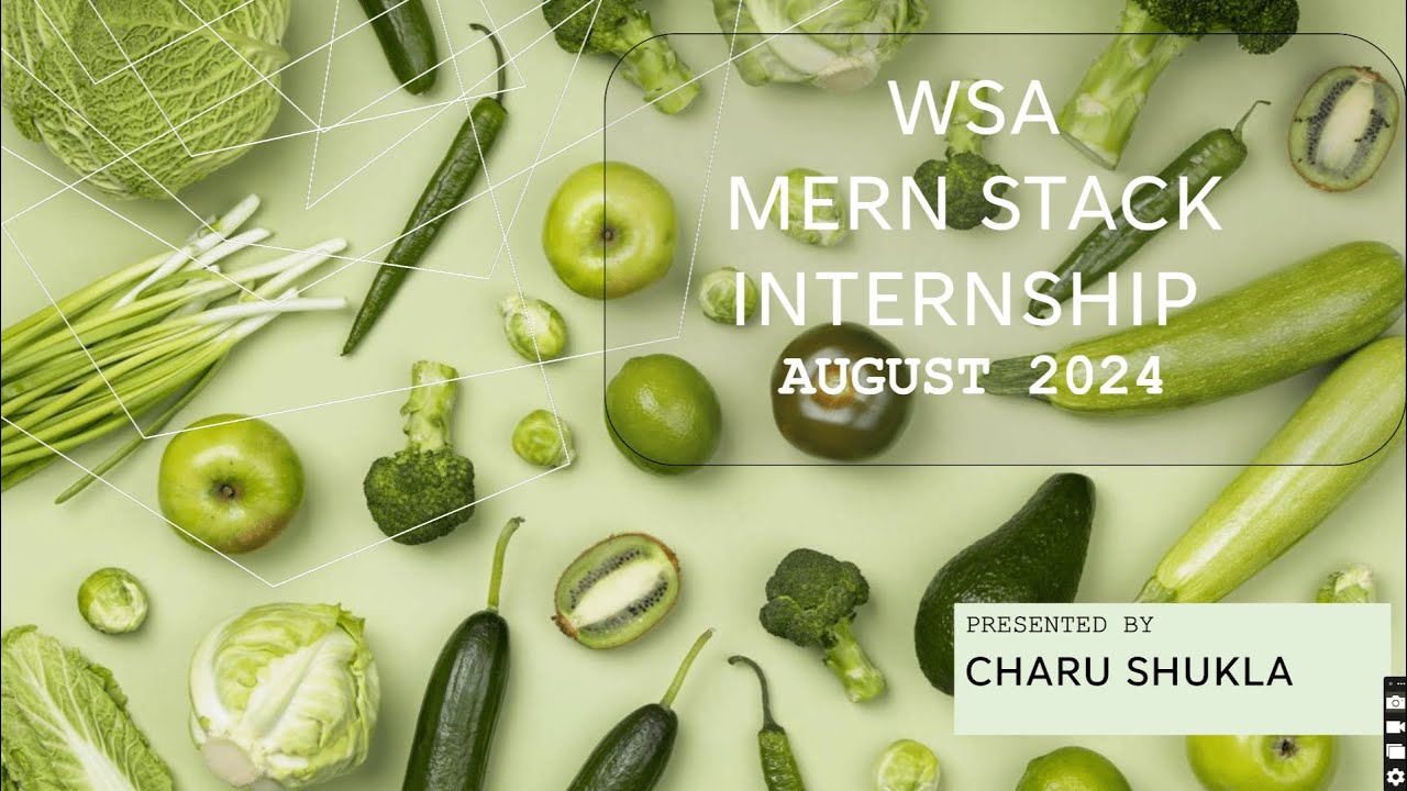 WSA MERN STACK INTERNSHIP AUGUST 2024 - YouTube