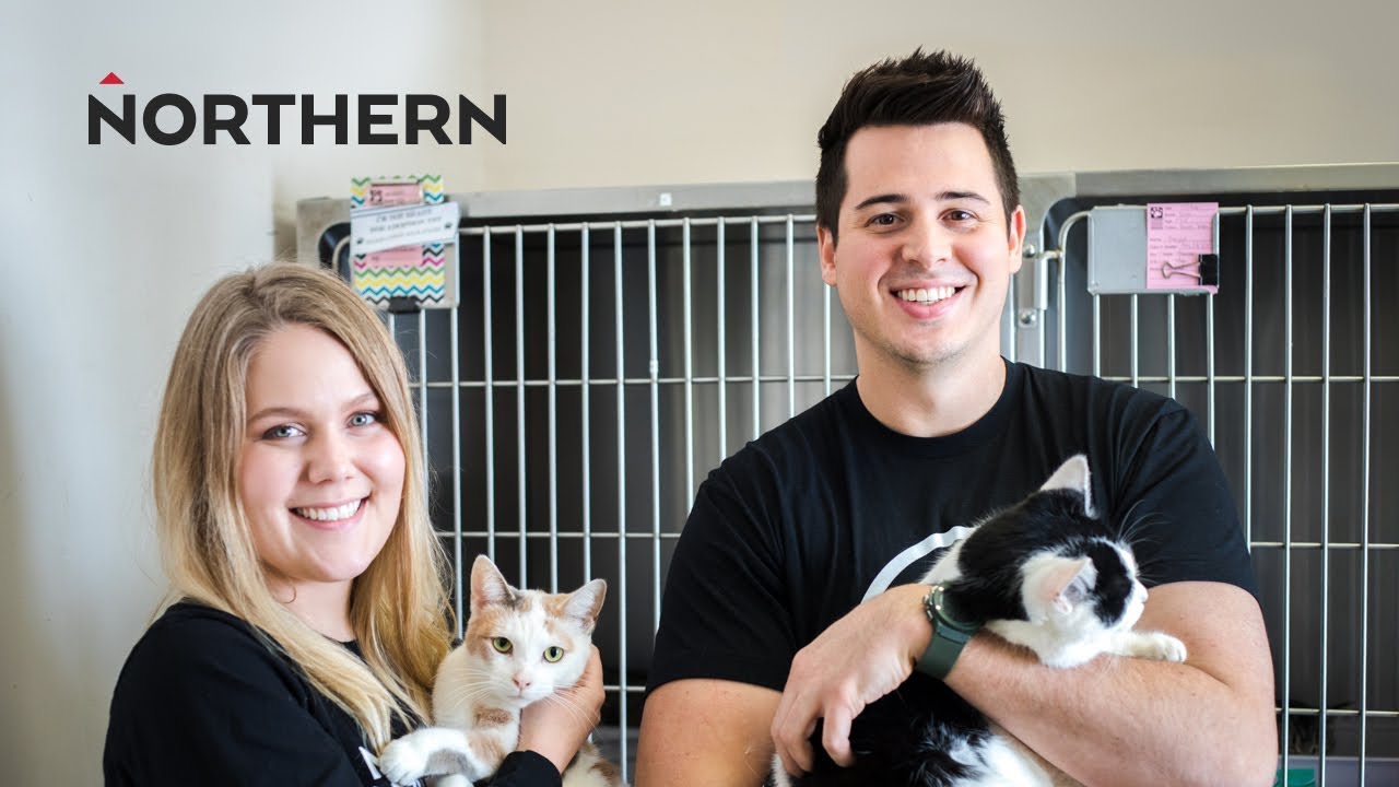 London Humane Society | Northern Cares - YouTube