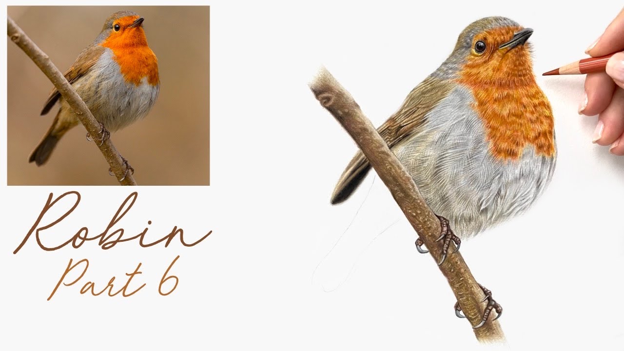 Christmas Drawing Tutorial - Robin Part 6 - YouTube