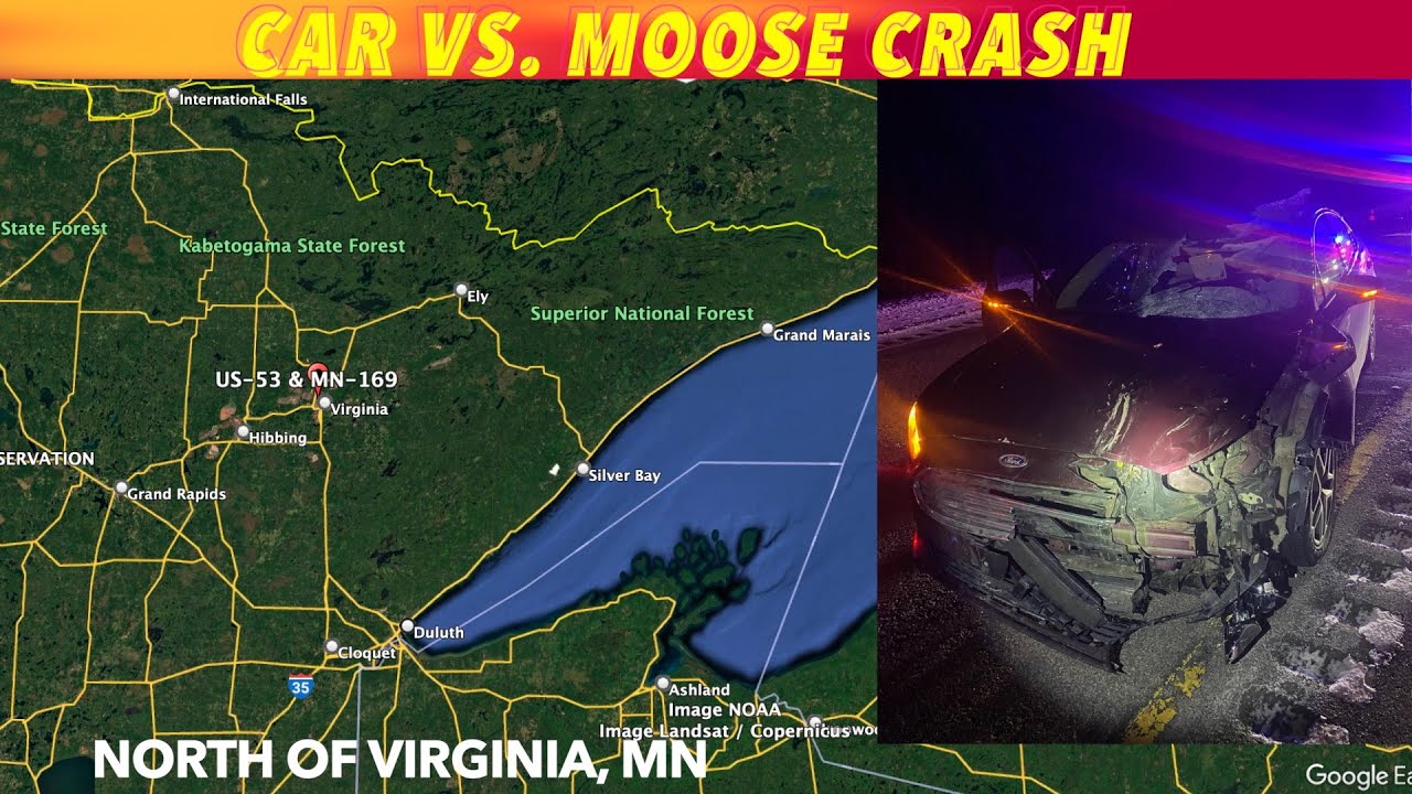 Car VS. Moose Crash - YouTube