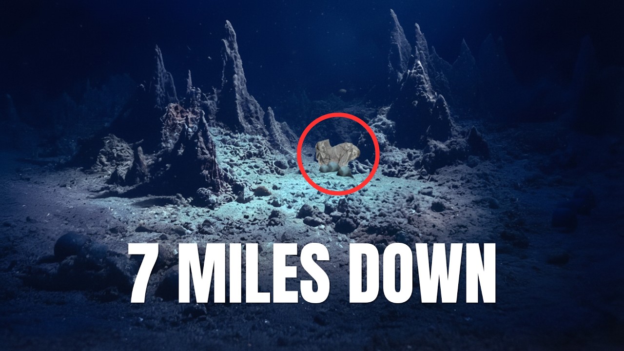 Mariana Trench - What They Found In The Deepest Place On Earth - YouTube