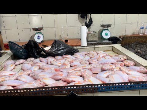 RAUN-RAUN ASUH MARKET IKAN MIRI - YouTube