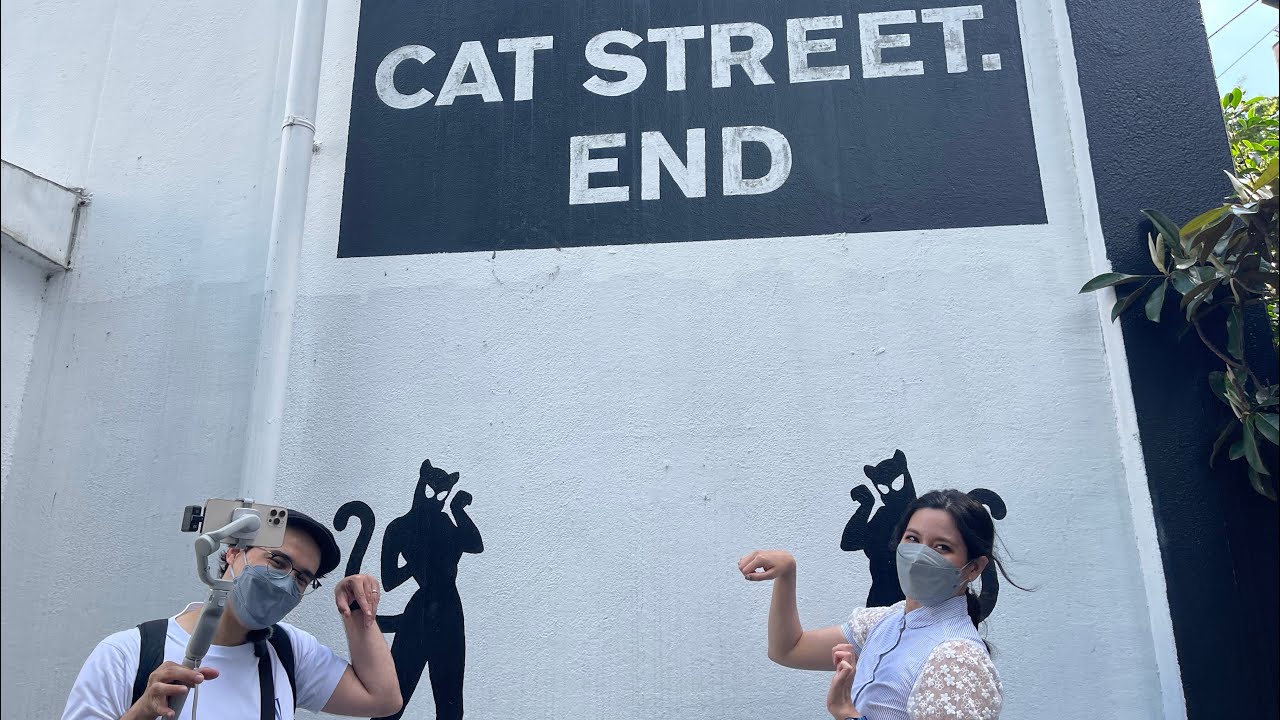 🔴 Cat Street - Omotesando Livestream @AurorasJapanLife - YouTube