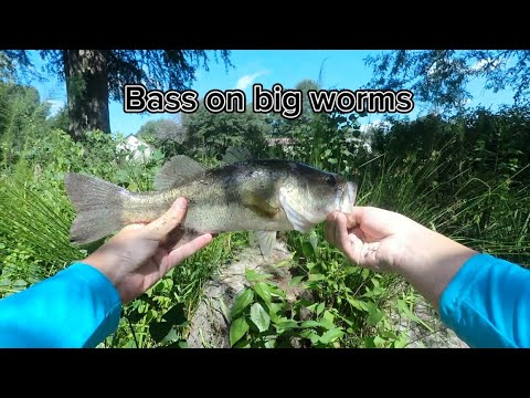 Fishing with MASSIVE 10 INCH WORMS - YouTube