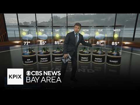 Bay Area to begin warming up as marine layer dissolves - First Alert Weather 9-16-26
