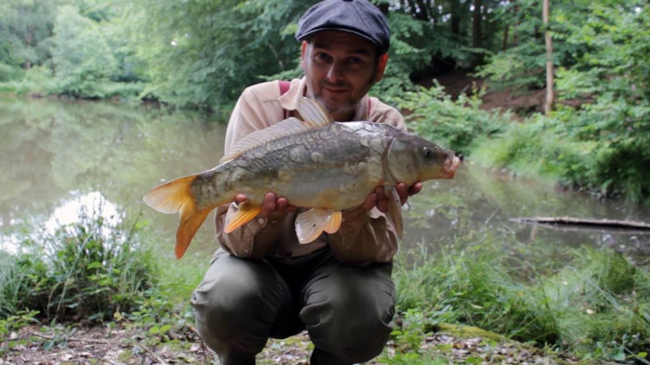 The Woodland Pool 2 -Carp Fishing - YouTube