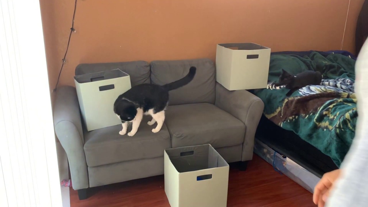 Home Program: Ultimate Sock Toss - YouTube