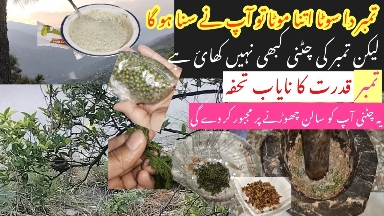 How to make timber ki chutney easy recipe|قدرت کا نایاب تحفہ تمبر کی ...