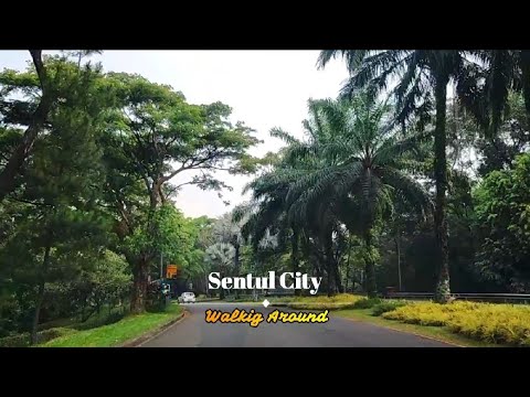 Sentul City Walking Around. Keindahan Jalan Seputar Sentul City - YouTube