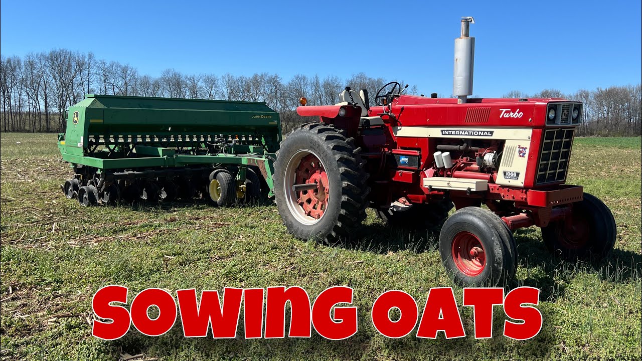 Sowing Spring Oats with an IH 1066 and John Deere 1590 drill - YouTube
