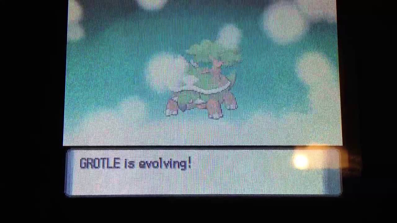 Grotle evolving into Torterra in Pokémon Pearl - YouTube
