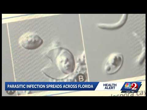 Stomach illness spreading across Florida