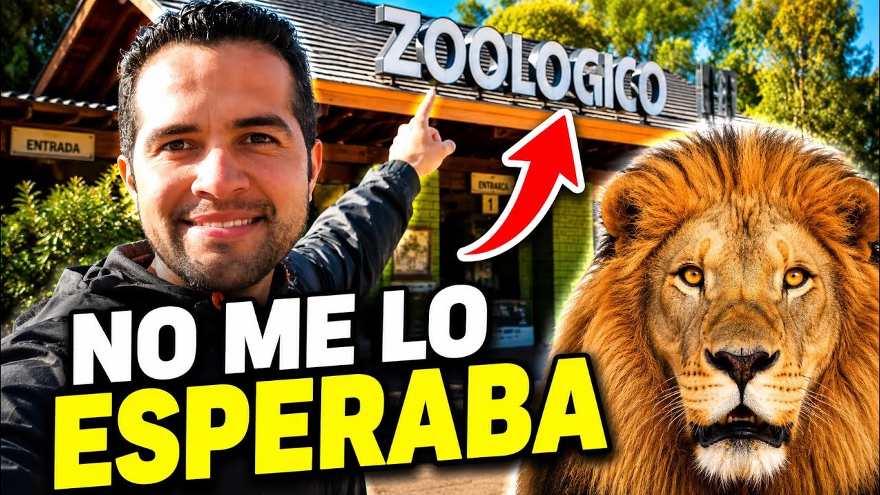 Zoológico Nacional de Chile🦒Santiago 2024 - YouTube