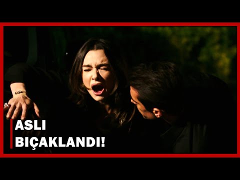 Aslı Bıçaklandı! - Siyah Beyaz Aşk 29.Bölüm