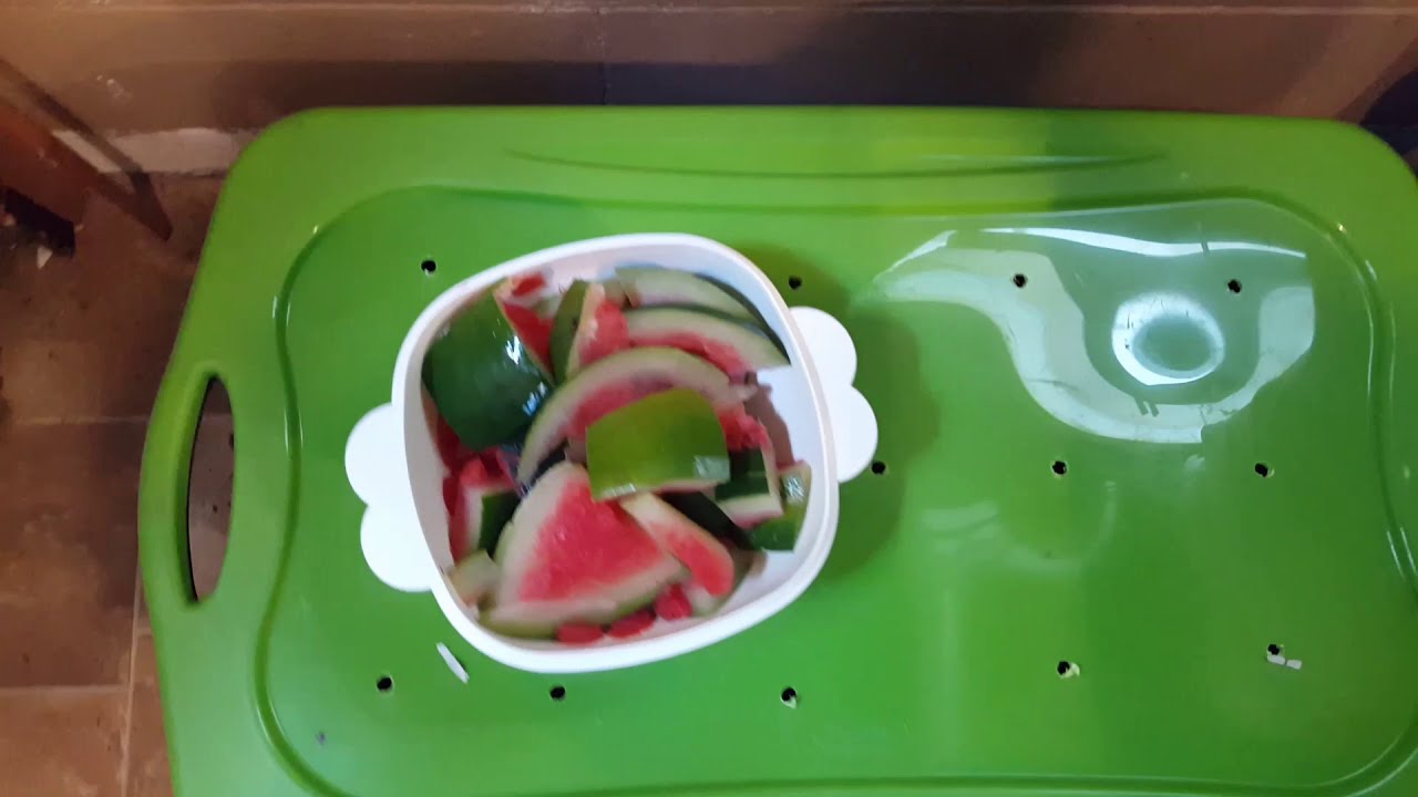 Do Worms Eat Watermelon - YouTube