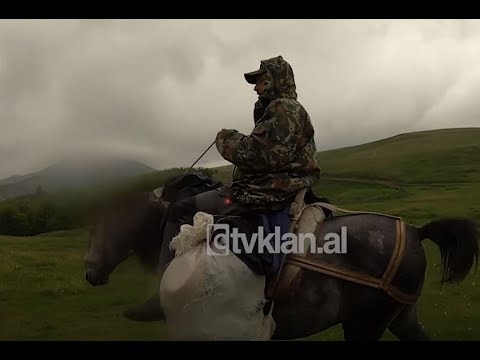 Alma Çupi: Mushka dhe Kali, foristrada me e mirë për të ngjitur Malin e ...