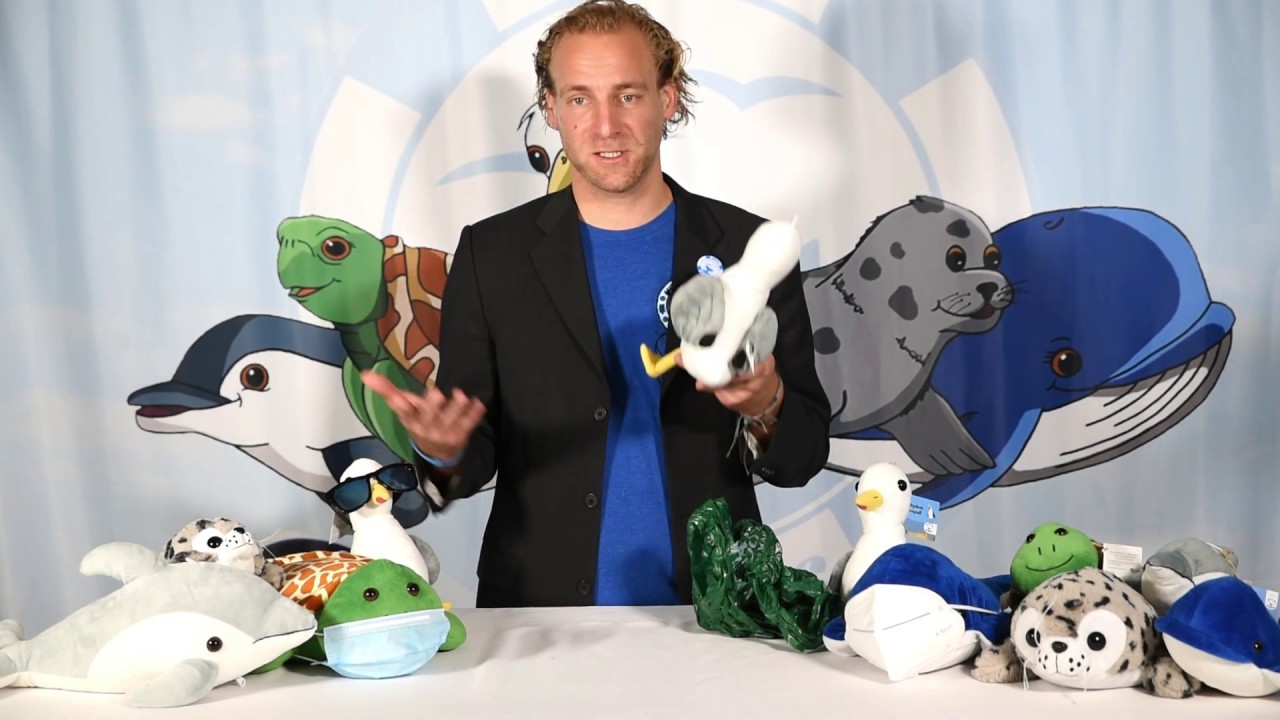 Cool Seagull Fun Facts - FOR KIDS - YouTube