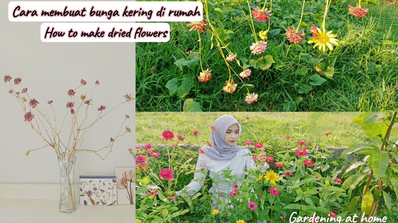 Cara membuat bunga kering di rumah #how to make dried flowers # ...