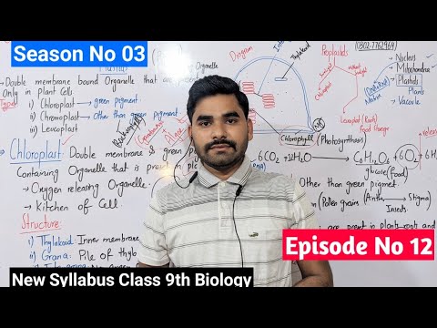 Plastids Class 9th New Book 2025 | Chloroplast,Chromoplast,Leucoplast ...