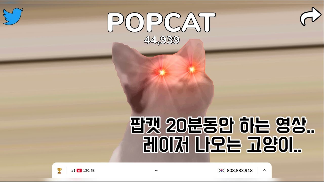 23분동안 팝캣하기/pop cat/승부욕 발동../대한민국19위!!! - YouTube