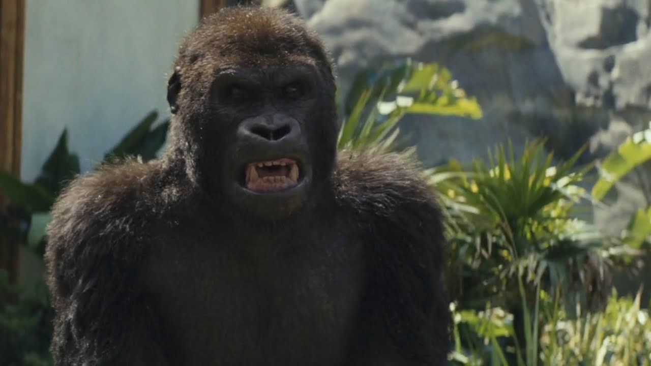 Monkey Got Angry | Rampage | HD Movie Clips - YouTube