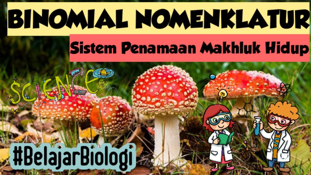 Sistem Tata Nama Makhluk Hidup - Homecare24 Sistem Tata Nama Makhluk Hidup - Homecare24