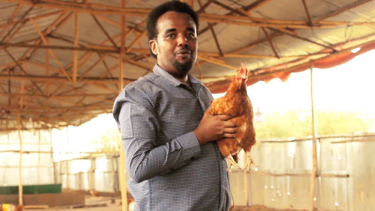 Warshada Cusub Ee Digaaga Ee Gabiley 2022 - YouTube