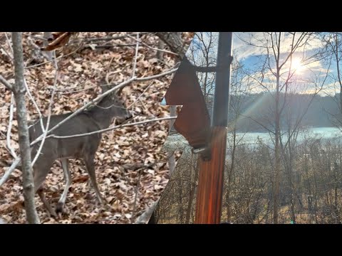 Ohio private land hunt!!! (130 minimum farm) Land of the gaints! - YouTube
