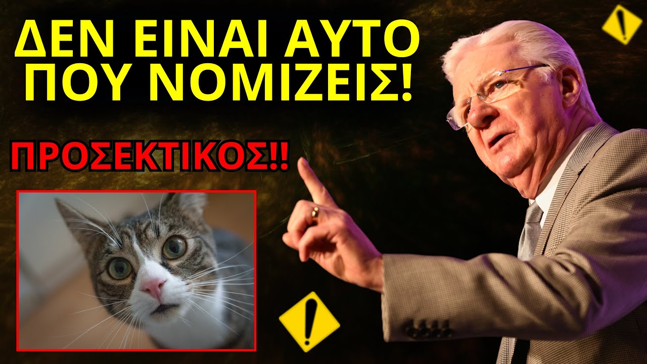 🐈‍⬛ΟΙ ΓΑΤΕΣ ΔΕΝ ΕΙΝΑΙ ΜΟΝΟ ΖΩΑ ΑΝΑΚΑΛΥΨΤΕ ΤΟ ΜΥΣΤΙΚΟ ΤΗΣ ΠΑΡΟΥΣΙΑΣ ΤΟΥΣ ...