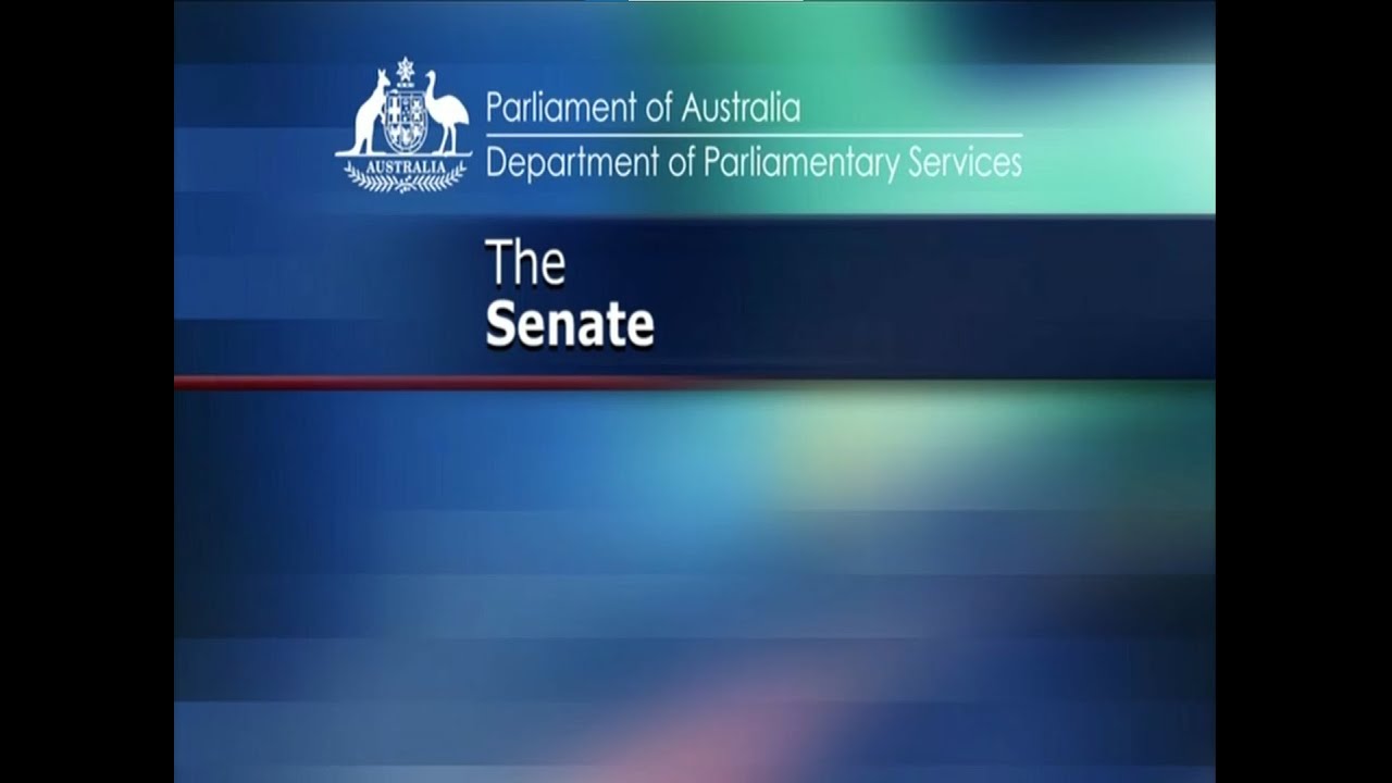 04/11/2021 - Community Affairs Senate Committee Sitting - YouTube