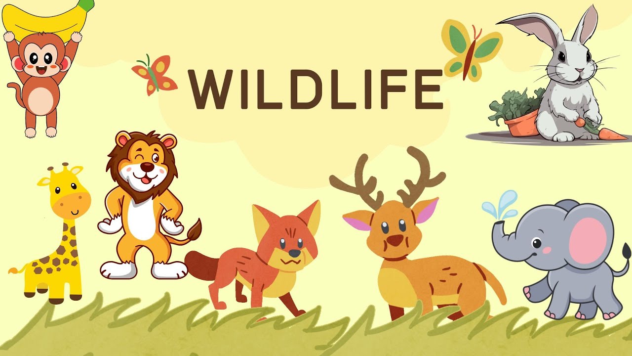 Animals for kids - Learn the names and activities of animals # ...