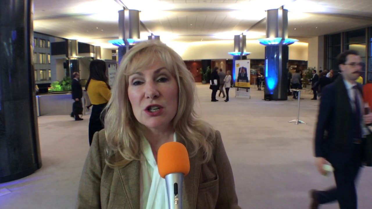 Janice ATKINSON, MEP on Guy Verhofstadt role in Brexit negociations ...