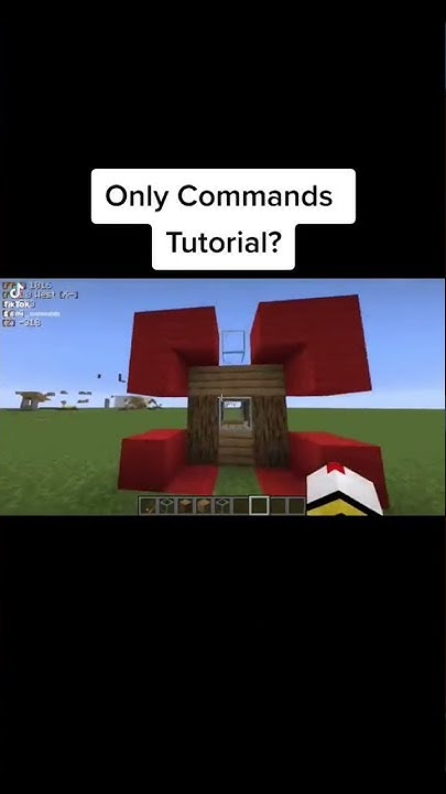 Minecraft Command Tutorial #shorts #minecraft - YouTube