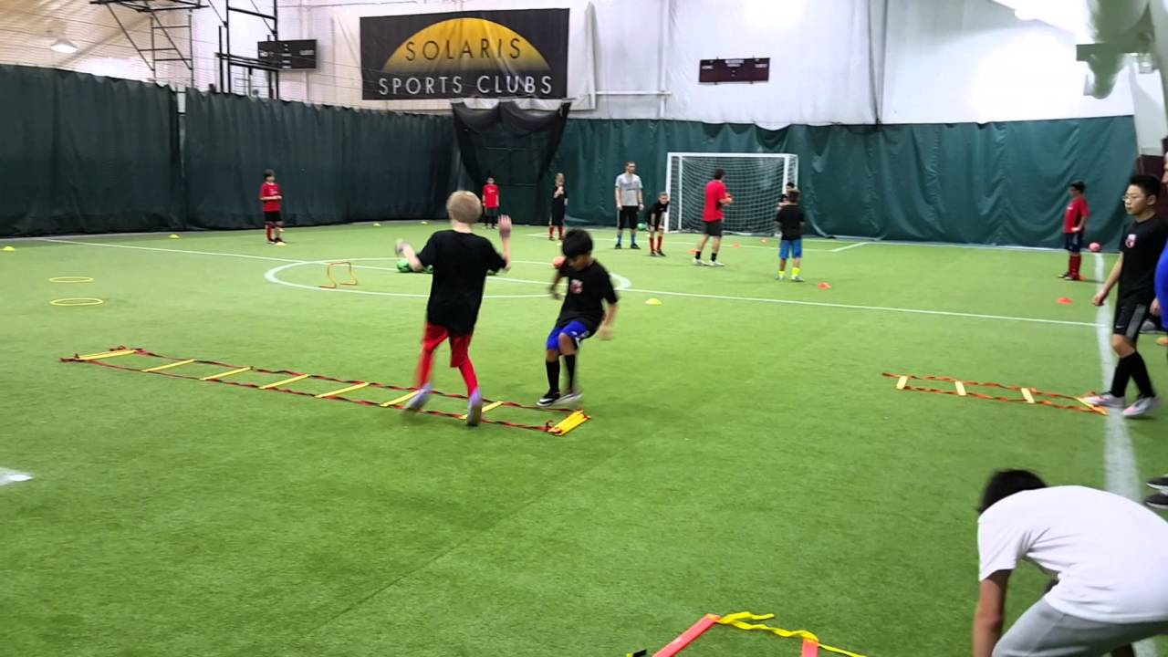 JPSA Winter Indor Agility Training - YouTube